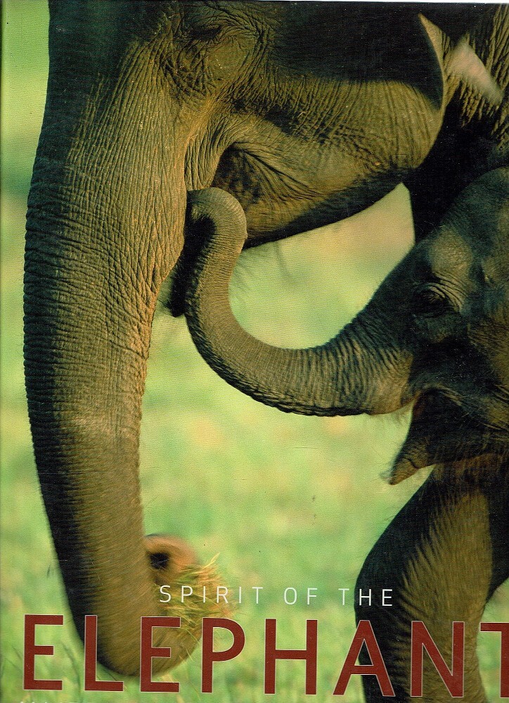 Spirit Of The Elephant. Majestic Giant Of The Animal Kingdom Davies ...
