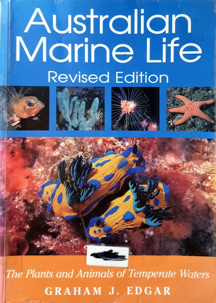Australian Marine Life. Plants And Animals Of Temperate Waters Edgar ...