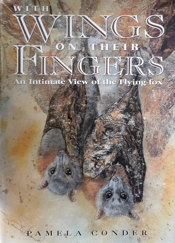 With Wings On Their Fingers. Intimate View Of The Flying Fox Conder ...