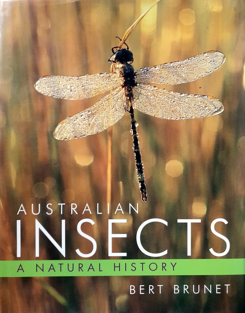 Australian Insects. A Natural History Brunet Bert | Marlowes Books