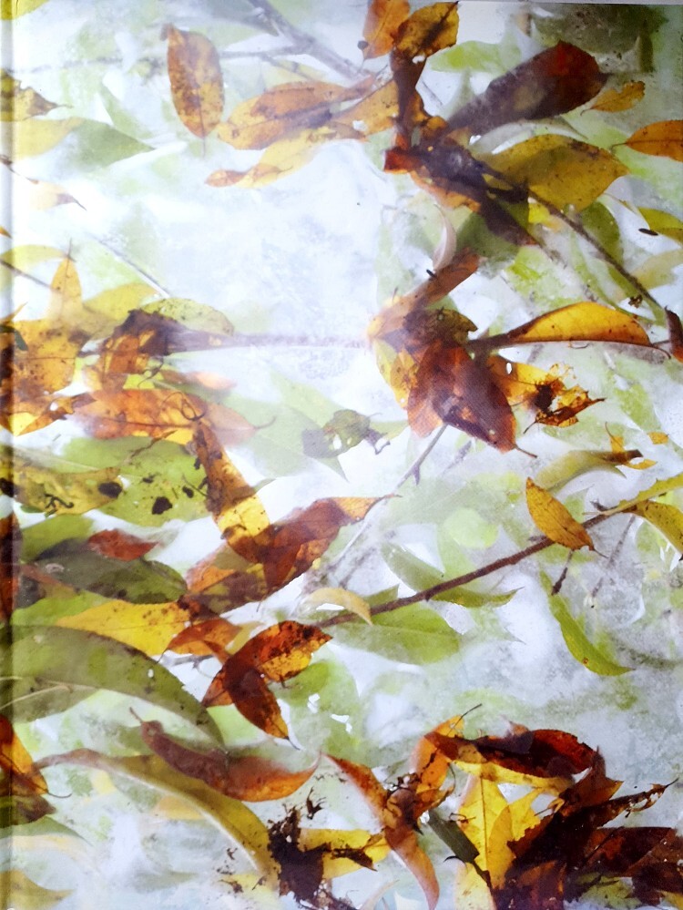 A Life On Pittwater Duncan Susan | Marlowes Books