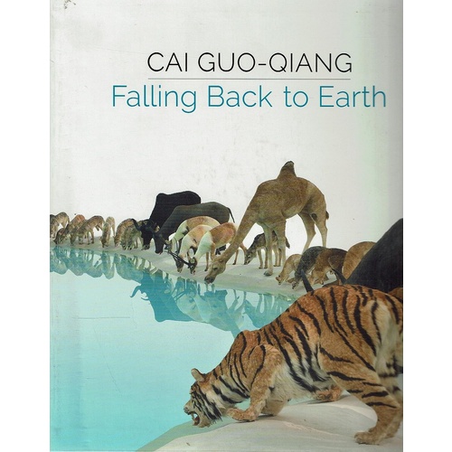 Falling Back To Earth Guo Qiang Cai | Marlowes Books
